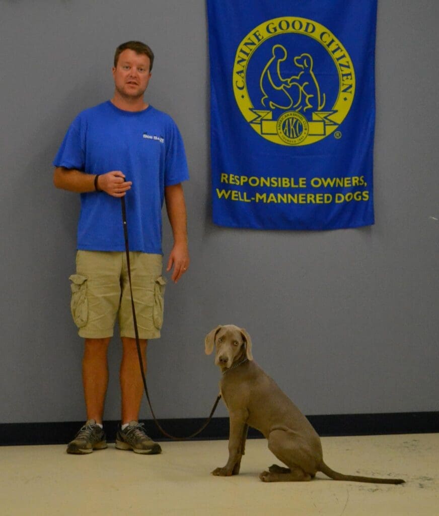 Best Dog Daycare Center in Columbia, SC